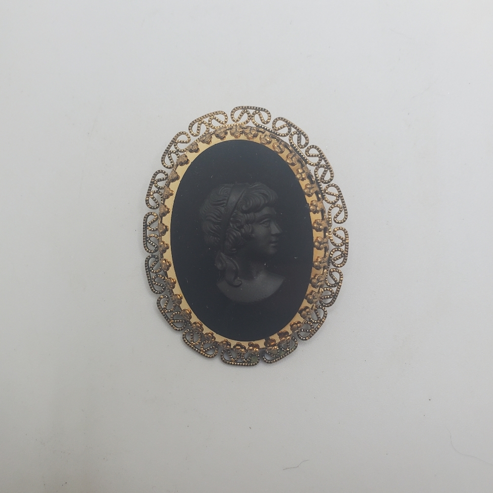 Bahbs Brooch Of The Day - Gem